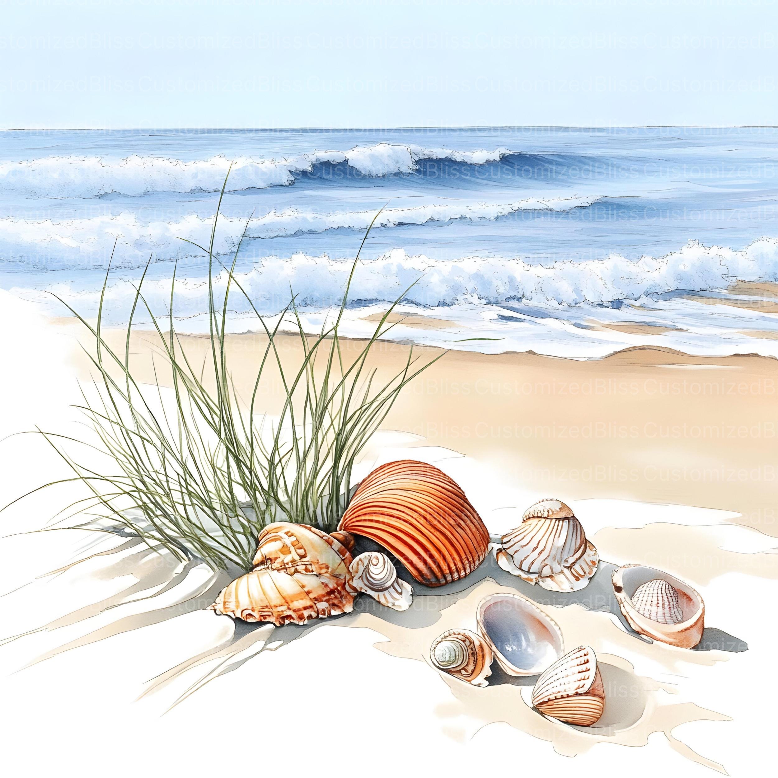 20 Tropical Beach Shells Clipart, Beach Clipart, High Quality JPG ...