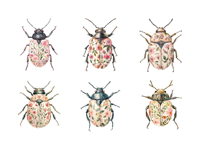 Floral Beetle Insect Clipart Bundle, 30 High Quality PNG, Folk Art ...