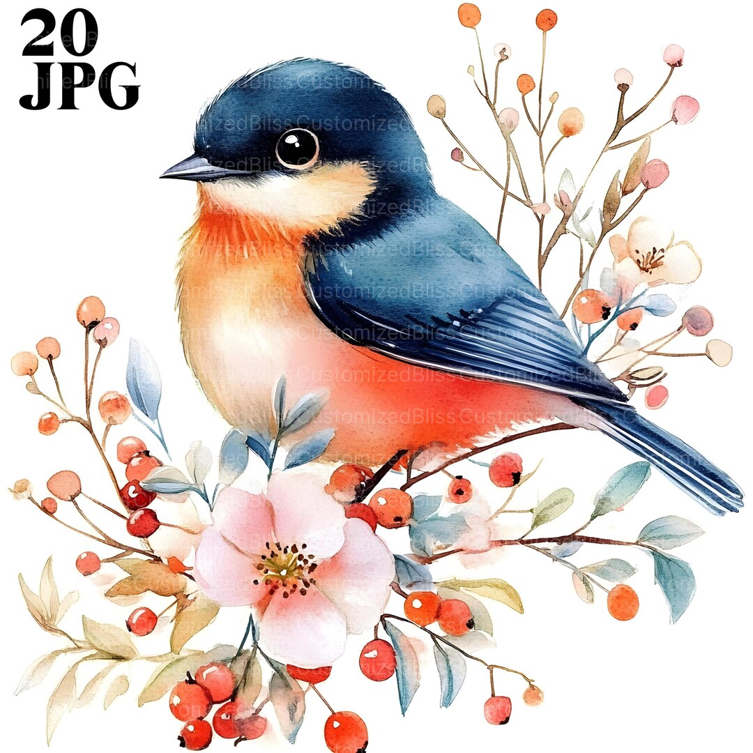 20 Birds Clipart, Floral Bird, Scandinavian Bird, High Quality JPG ...