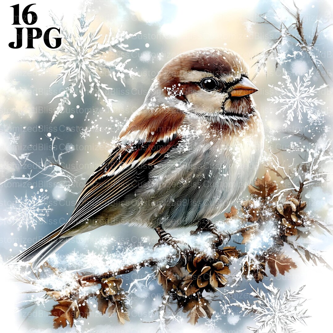 Winter Sparrow Clipart, Bird Clipart, Winter Clipart, Nature Clipart ...