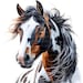 20 Paint Horse Clipart, Horse Lovers, Equine Clipart, Horse Designs ...