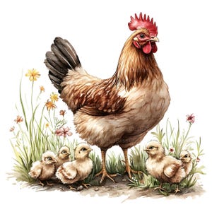 Chicken Family Rooster Chick Clipart Bundle, 16 High Quality Jpgs ...