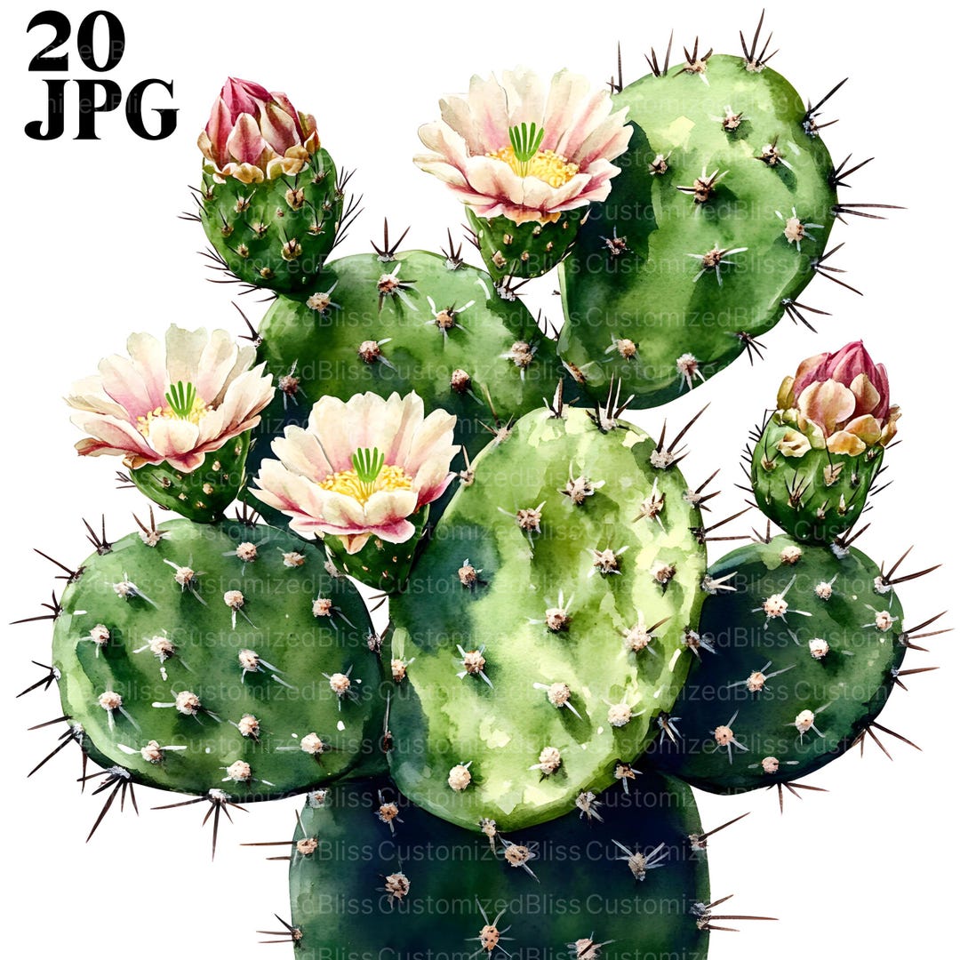 20 Cactus Clipart, Cactus Images, Plant Clipart, High Quality JPG, Watercolor Clipart, Junk ...