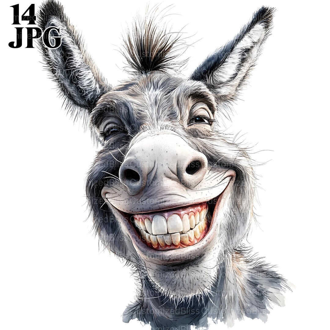 Laughing Donkey Clipart Bundle, 14 High-quality Jpgs, Cute Happy Donkey ...
