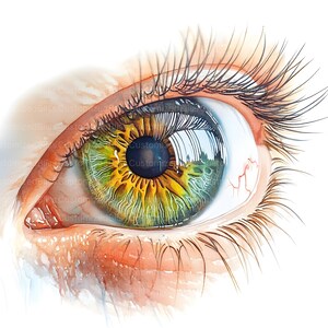 20 Colorful Eye Clipart, Abstract Eyeball Clipart, High Quality Jpgs ...