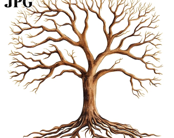 24 Oak Tree Roots Clipart, Oak Family Tree, Printable Watercolor ...