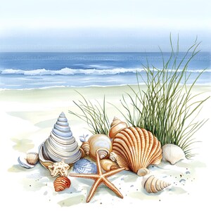 20 Tropical Beach Shells Clipart, Summer Clipart, High Quality JPG ...