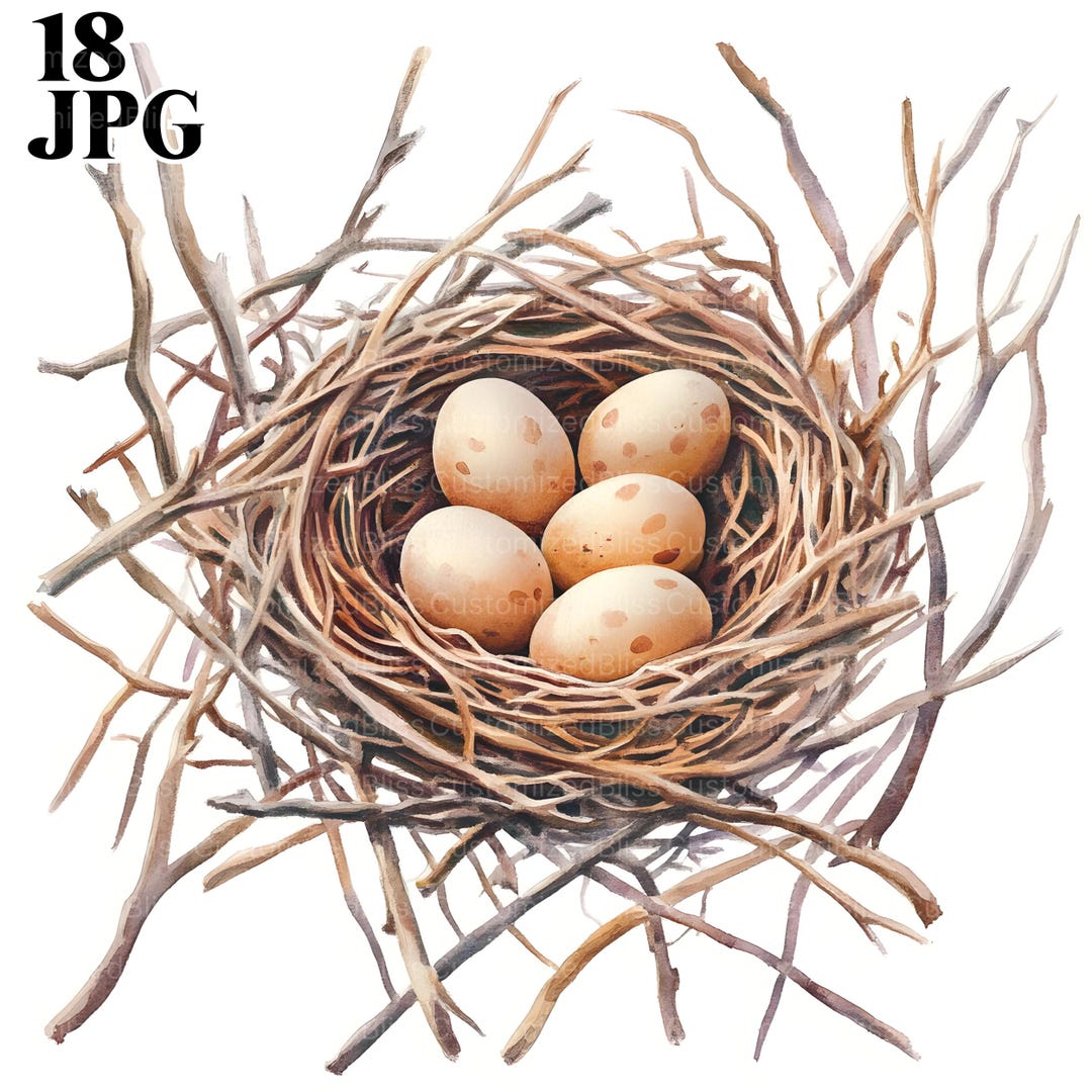 18 Bird Nest Clipart, Eggs in Nest Clipart, Bird Nesting, High Quality ...