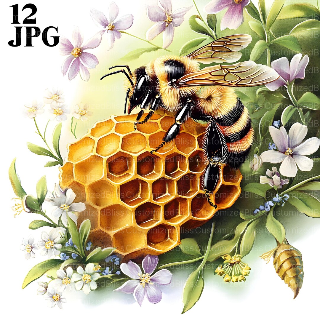 12 Honey and Bees Clipart, Honey Clipart, Watercolor Bee, High Quality ...