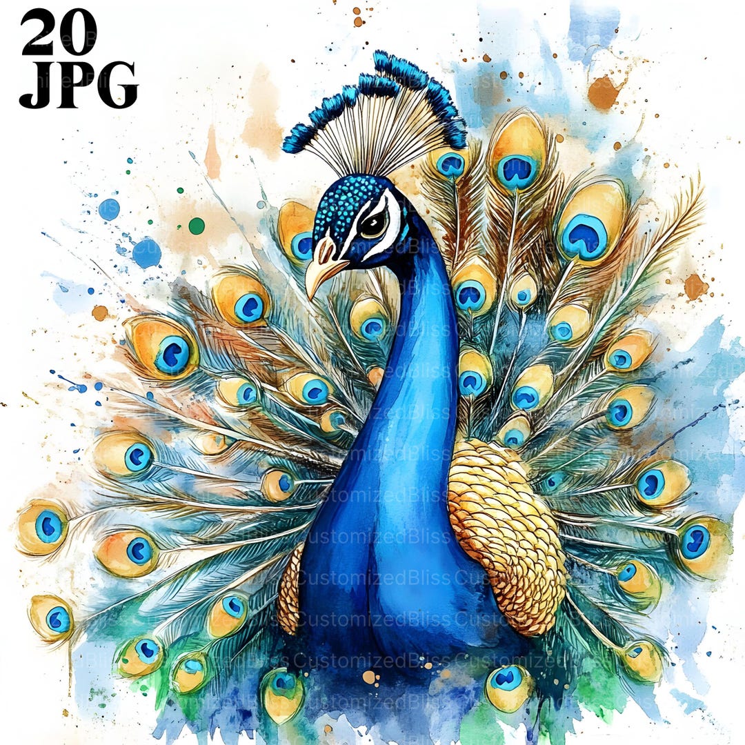 20 Adorable Peacock Clipart, Watercolor Peacock, Cute Bird, High ...