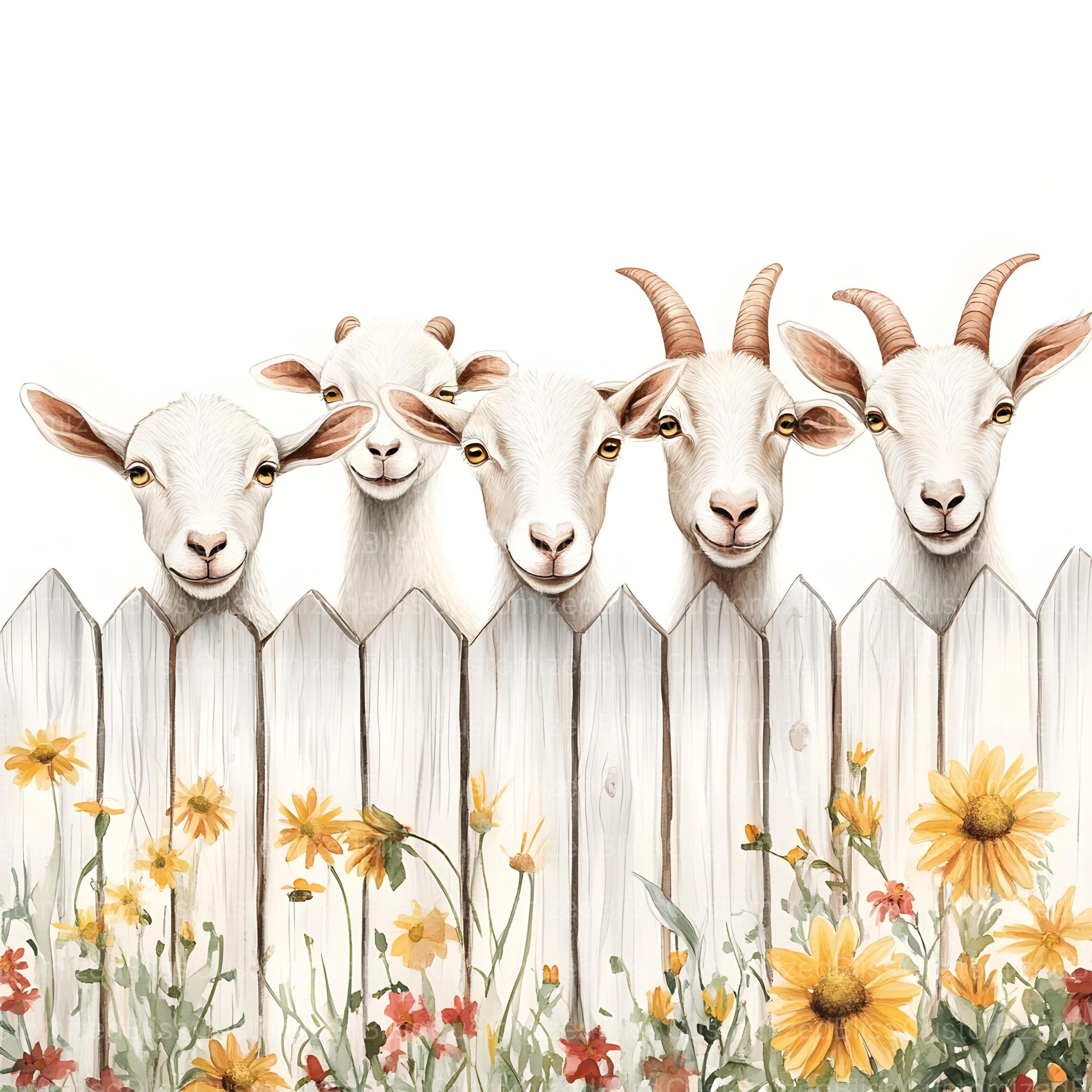 Cute Goats on a Farm Fence Clipart Bundle, 20 High Quality Jpgs, Goat ...