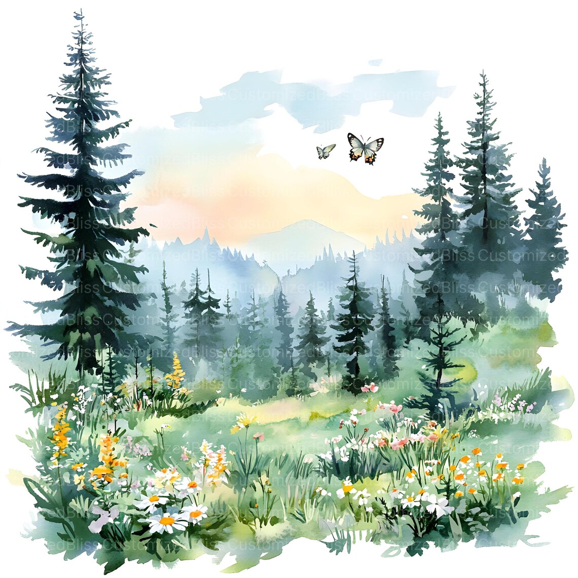 20 Spring Spruce Forest Clipart, Spruce Clipart, Spring Clipart ...