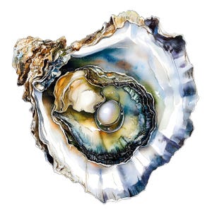 20 Oyster Clipart, Food Clipart, Pearl Clipart, High Quality Jpgs ...