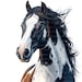 20 Paint Horse Clipart, Horse Lovers, Equine Clipart, Horse Designs ...