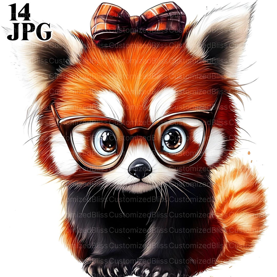 14 Red Panda Clipart, Cute Panda, Funny Animal Clipart, High Quality ...