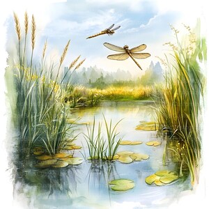 20 Cattails and Dragonflies Clip Art, Dragonfly Clipart, Cattails ...