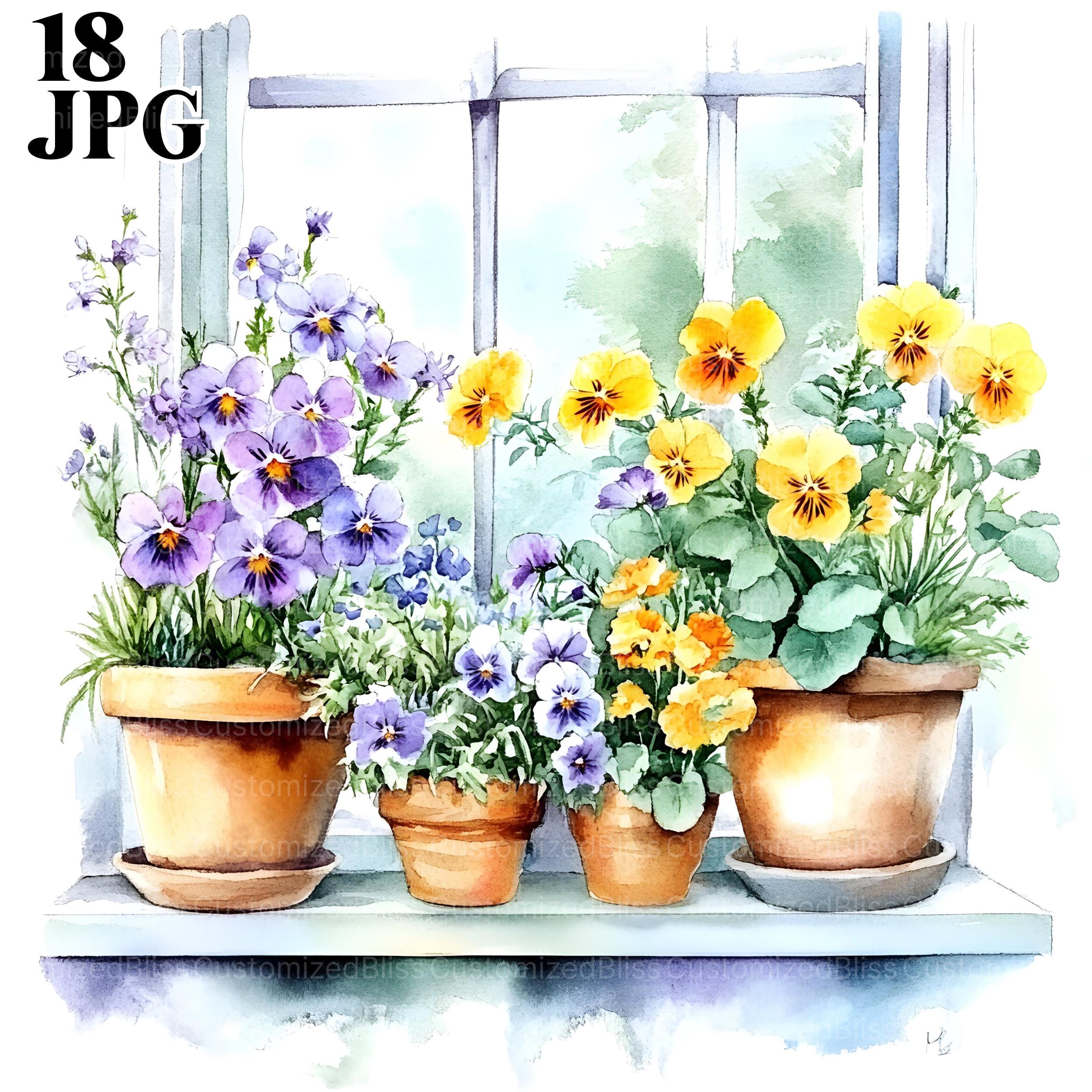 18 Spring Flowers Windows Clipart, Flowerpots Clipart, Watercolor ...