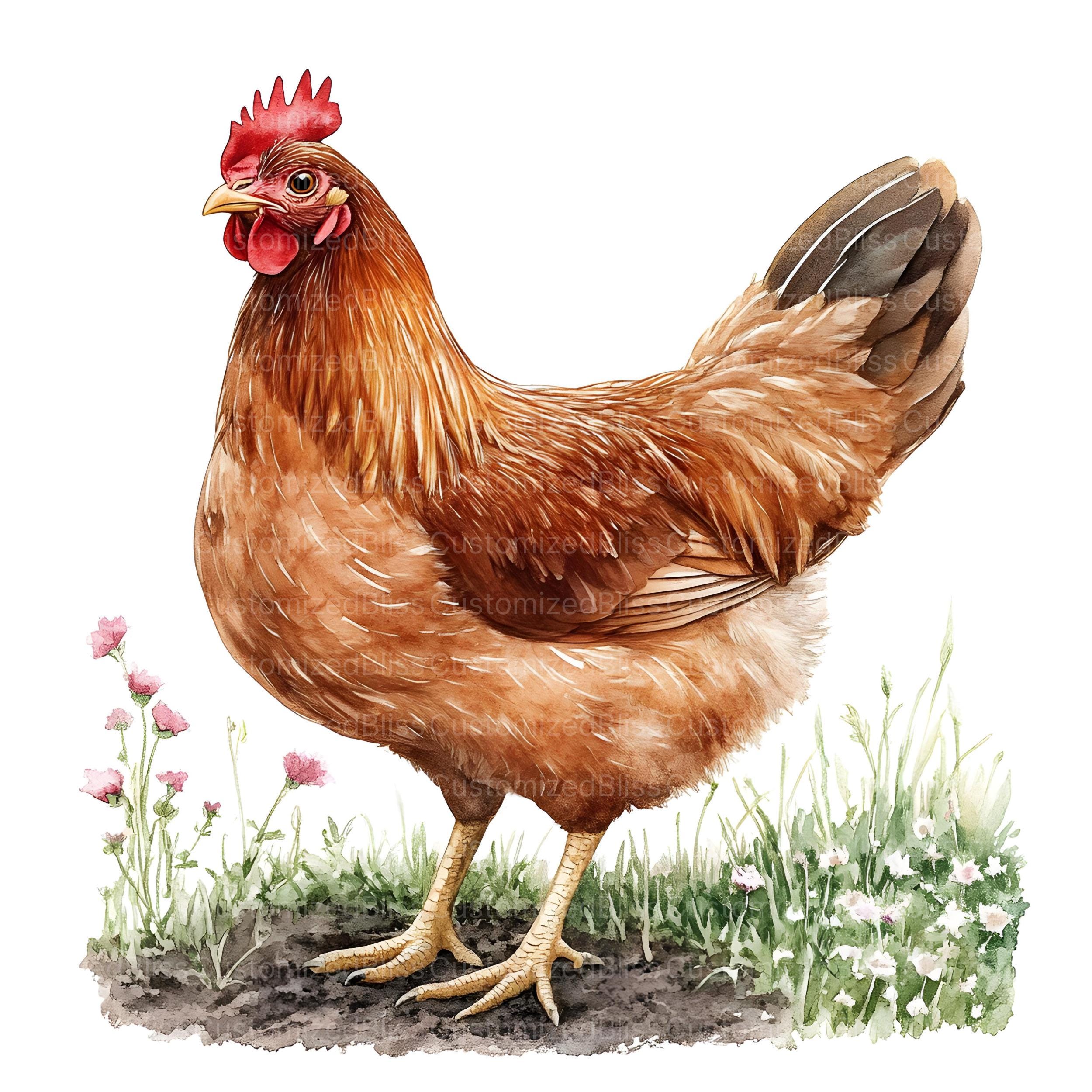 18 Hens Clipart, Chicken Clipart, Farm Animal Clipart, Farm Clipart ...