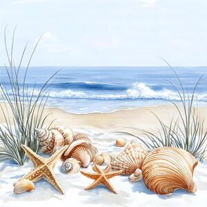 20 Tropical Beach Shells Clipart, Summer Clipart, High Quality JPG ...