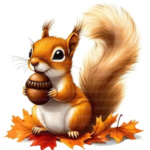 12 Autumn Squirrel Clipart, Woodland Animal, Autumn Clipart, Quality ...