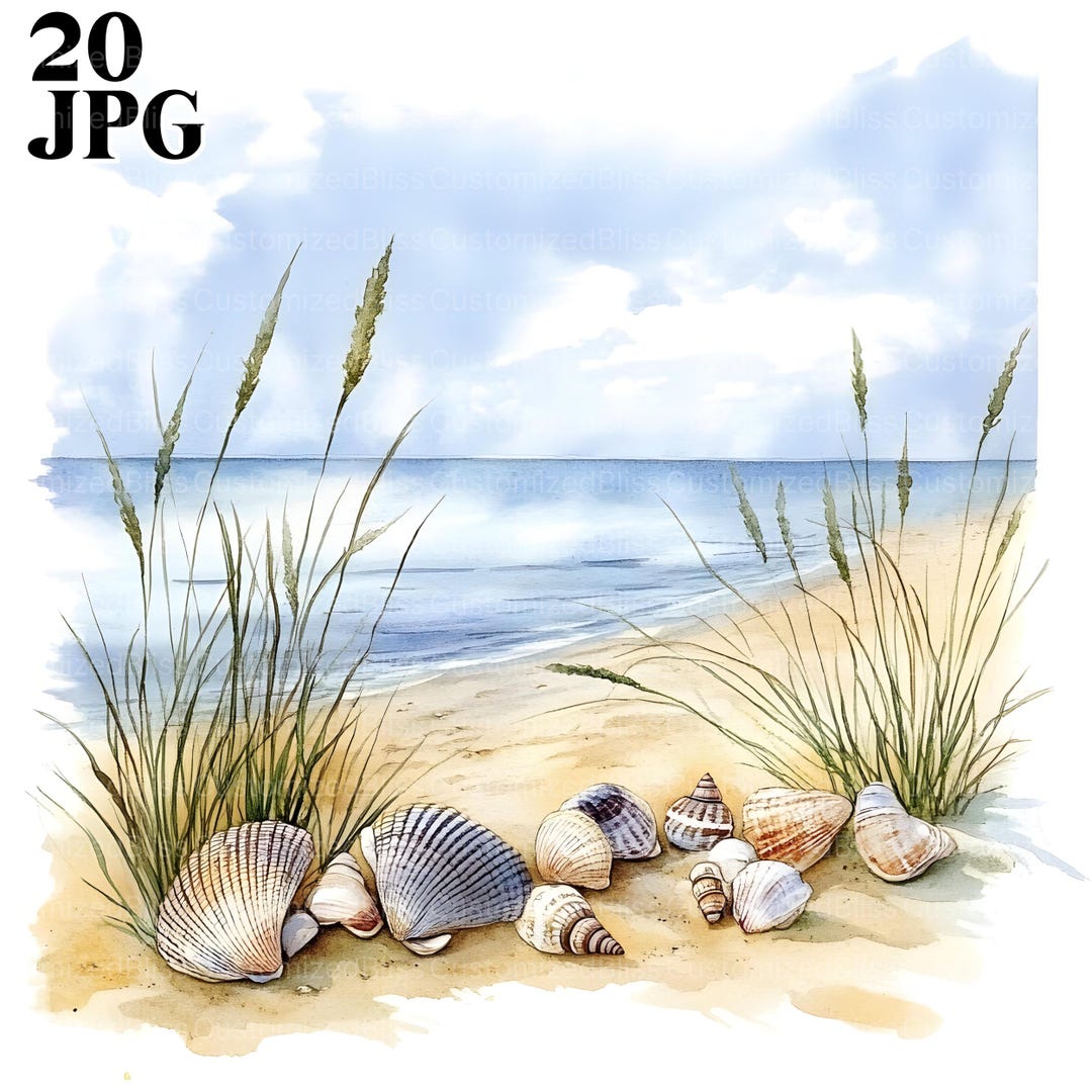 20 Sea Beach Clipart, Sea Shells Clipart, Sea Clipart, High Quality ...