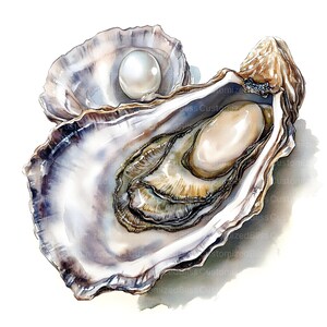 20 Oyster Clipart, Food Clipart, Pearl Clipart, High Quality Jpgs ...