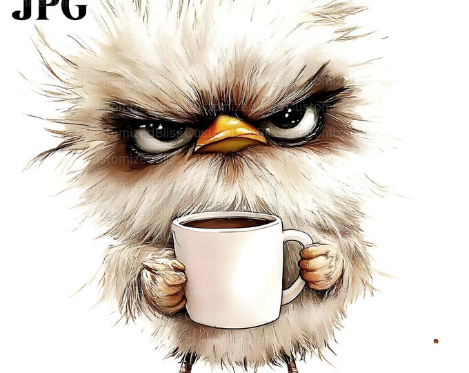 19 Cute Fluffy Birds Clipart, Funny Birds Clipart, Watercolor Cute ...