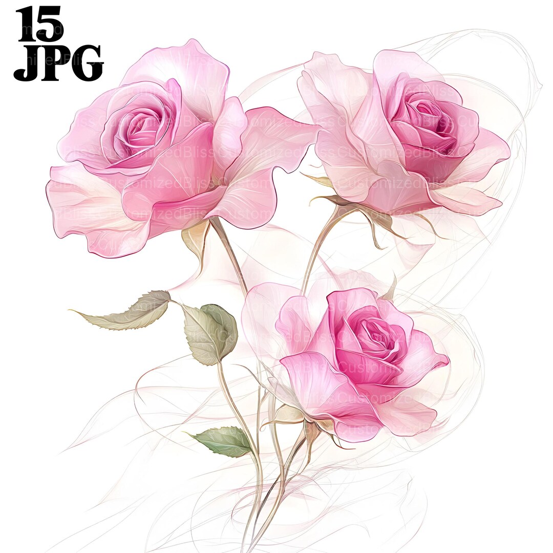 15 Abstract Pink Roses Clipart Bundle, Dried Flowers, Boho Flowers ...