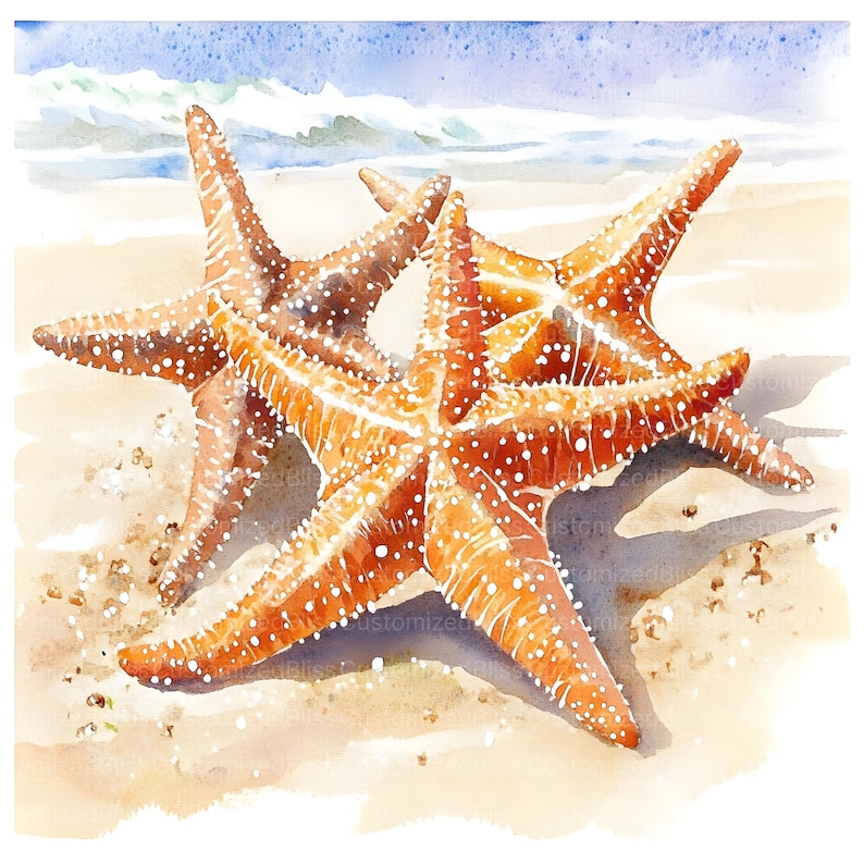 20 Starfish Clipart, Starfish on Beach Clipart, High Quality JPG ...