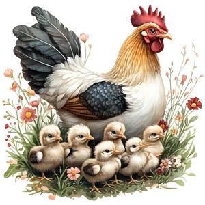 Chicken Family Rooster Chick Clipart Bundle, 16 High Quality Jpgs ...