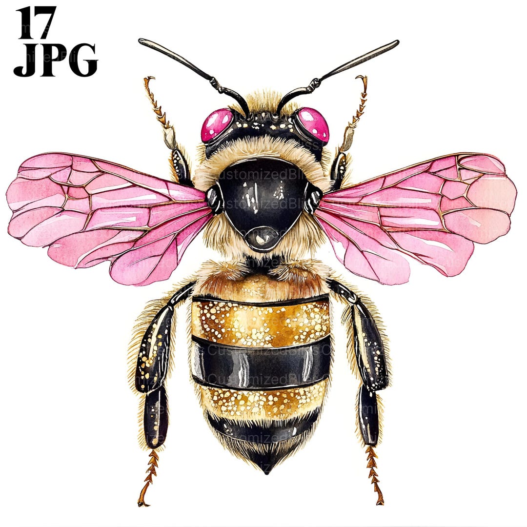 17 Pink Bee Clipart, Bee Print, Watercolor Bee, Insect Clipart, High ...
