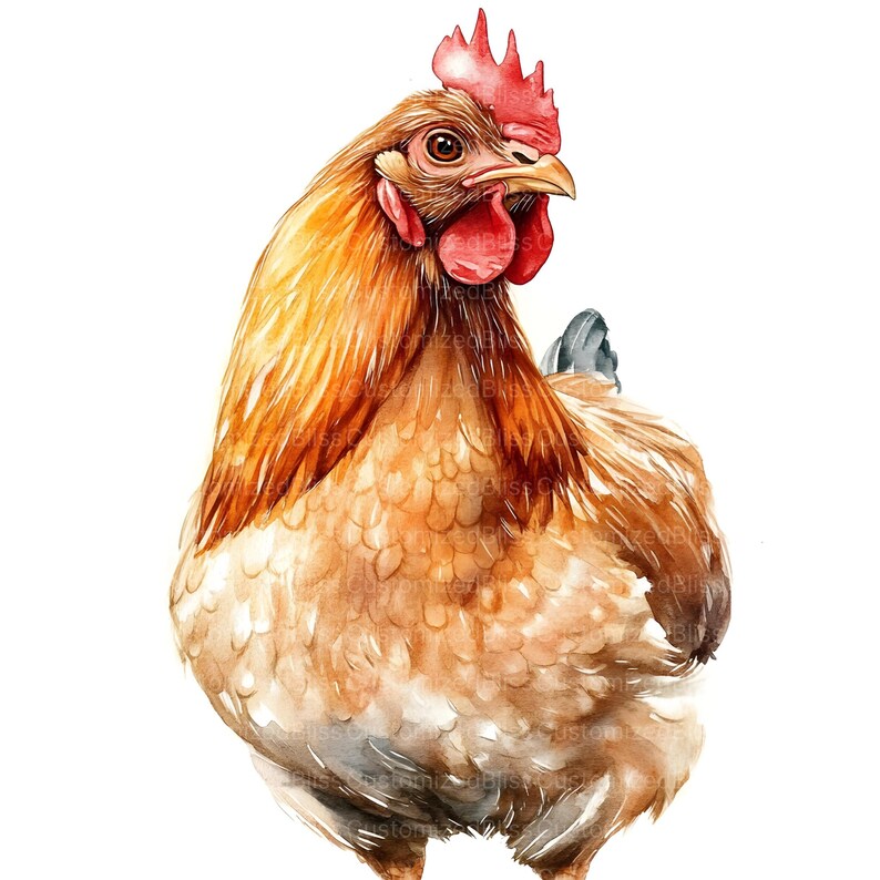 18 Hens Clipart, Chicken Clipart, Farm Animal Clipart, Farm Clipart ...