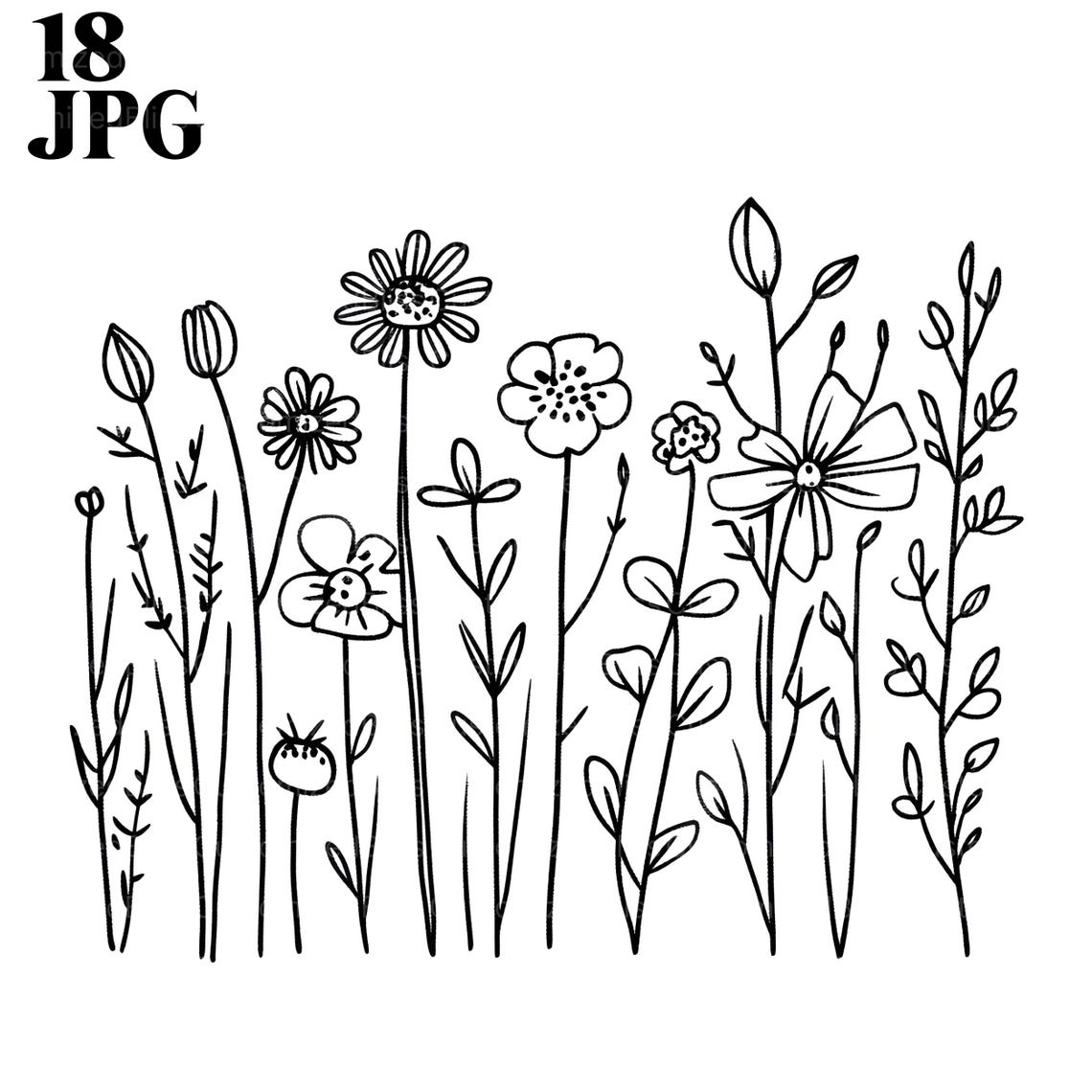 18 Doodle Wildflowers Clipart, Hand Drawn Flowers, Doodle Clipart ...