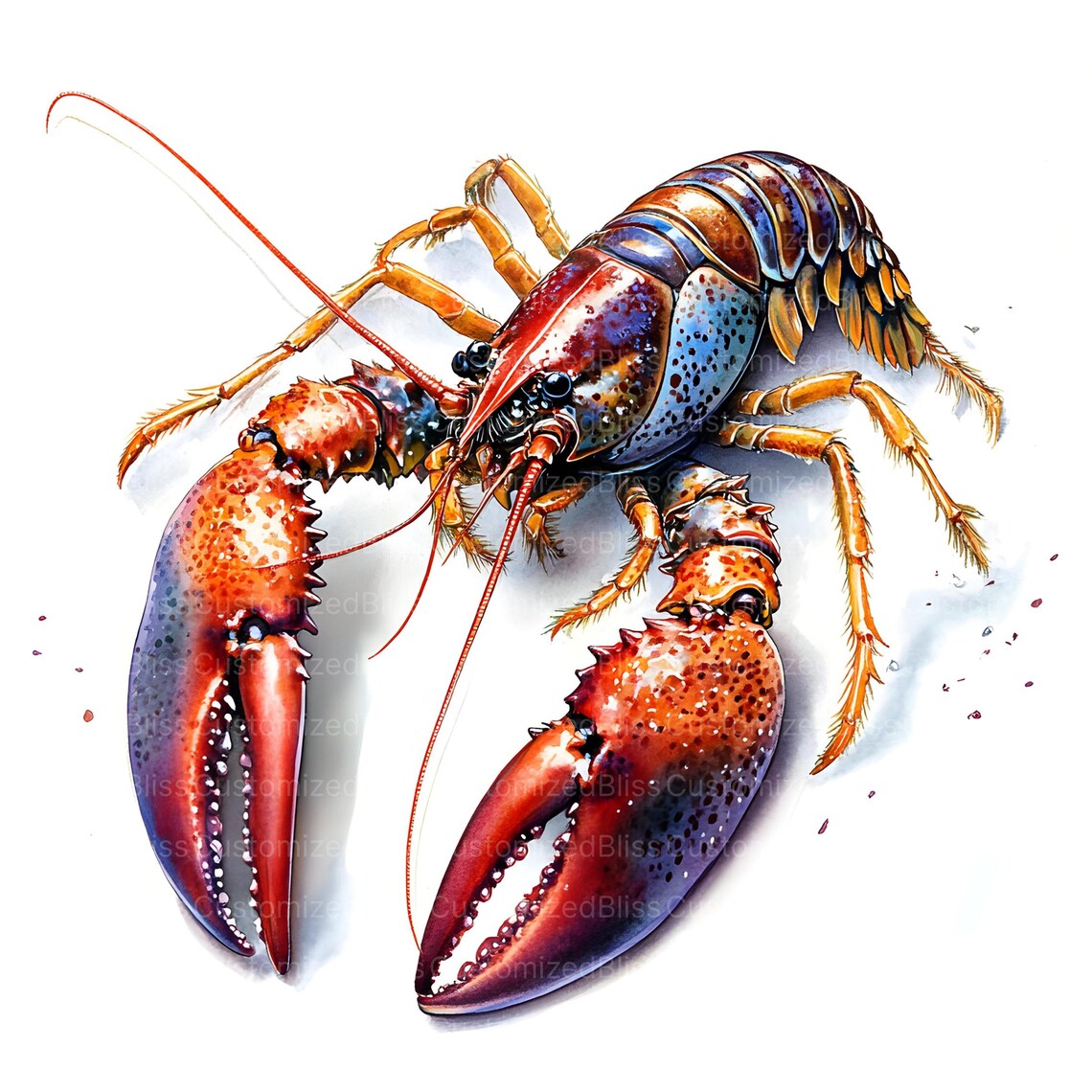 20 Crawfish Clipart, Crawfish Clip Art, Marine Life Clipart, Aquatic ...