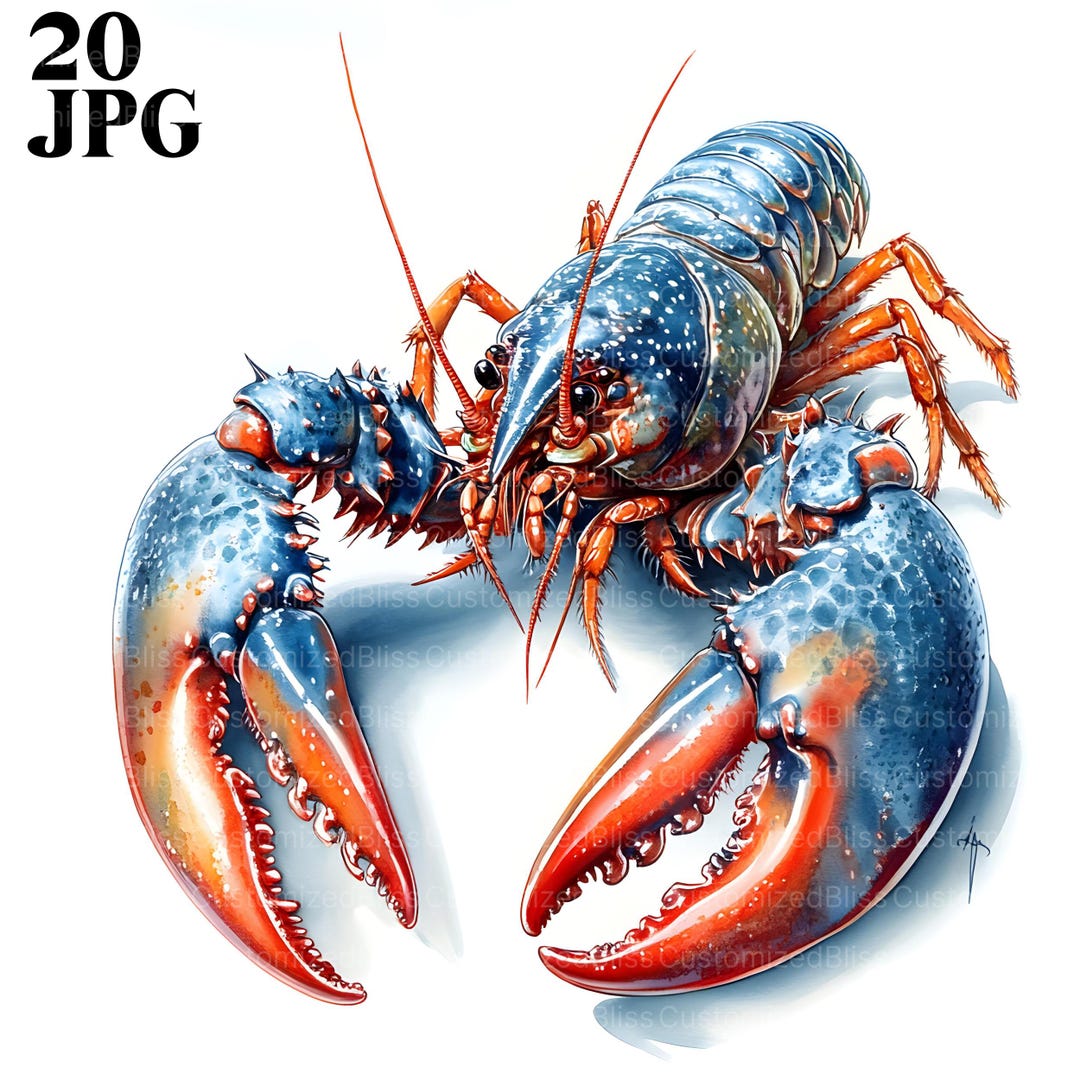 20 Crawfish Clipart, Crawfish Clip Art, Marine Life Clipart, Aquatic ...