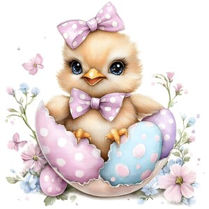 16 Smiling Chick in Decorated Egg Clipart, Easter Chick Illustration ...