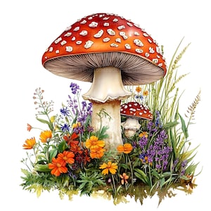 18 Magical Toadstool Clipart, Mushroom Clipart, High Quality JPG ...