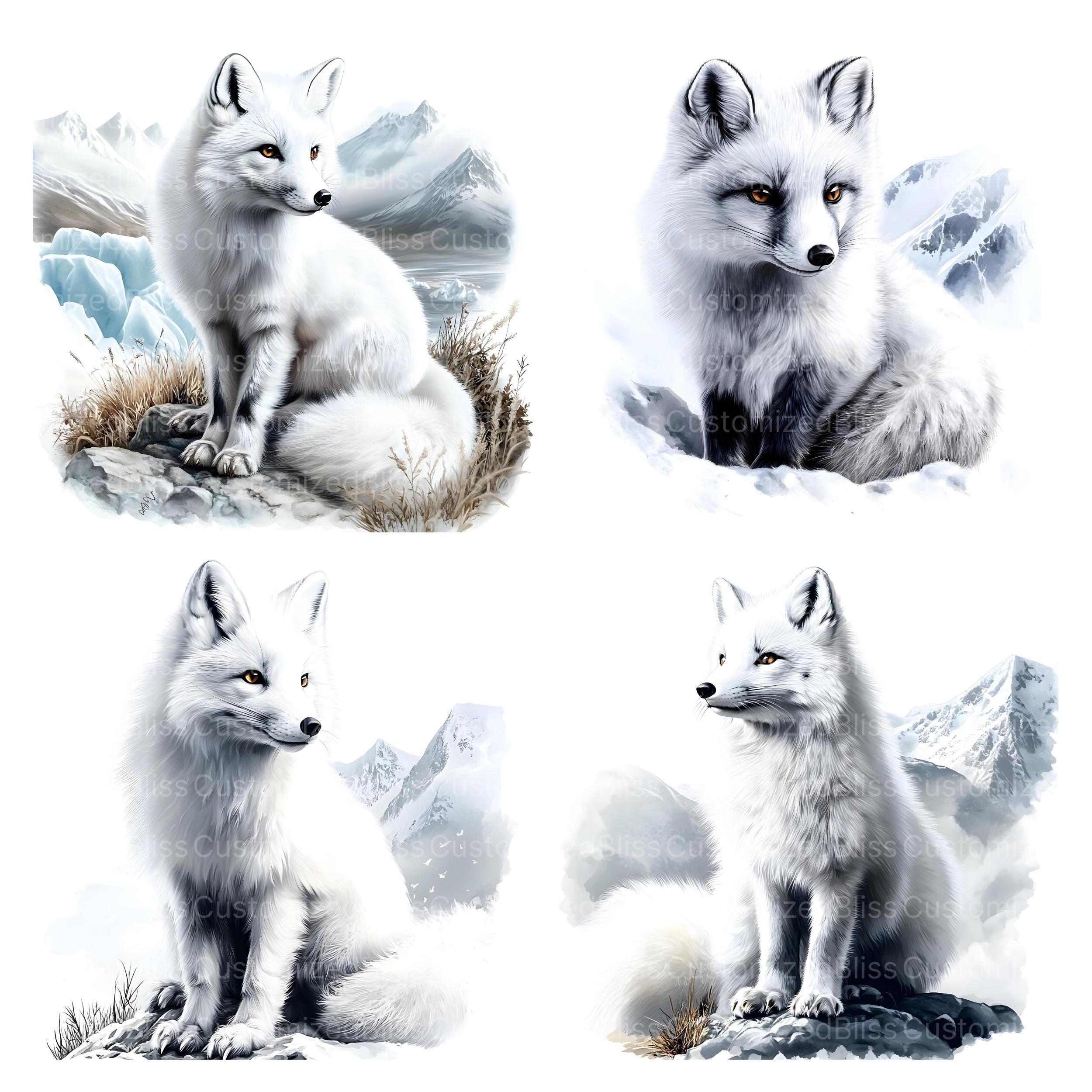 15 Arctic Fox Clipart, Snowy Fox, Fox Printable, Arctic Wildlife ...