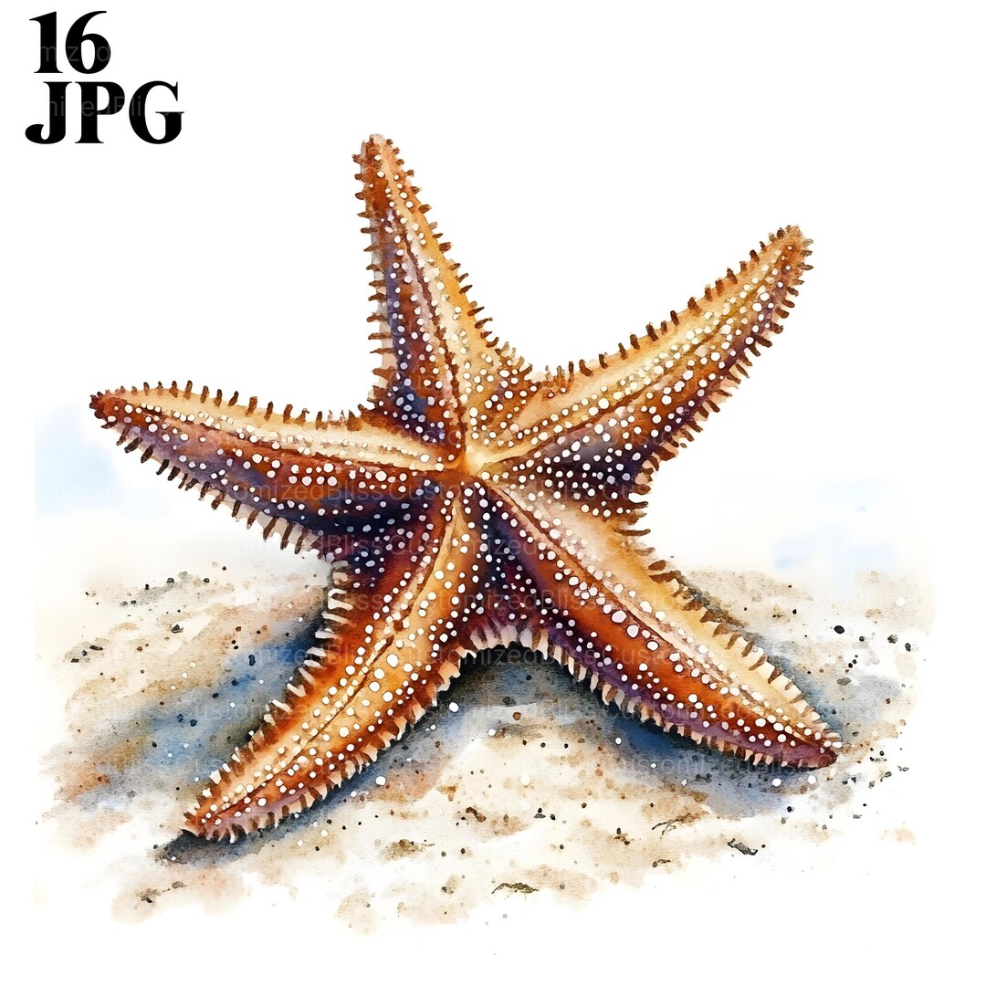 16 Starfish Clipart, Starfish Print, Starfish Nursery, High Quality ...
