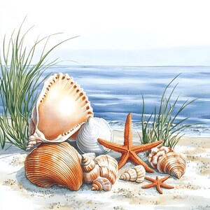 20 Tropical Beach Shells Clipart, Summer Clipart, High Quality JPG ...