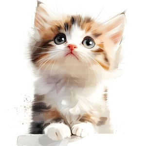 20 Cute Cat Clipart, Happy Cats, Baby Kitten, Happy Cat, Kitten Clipart ...