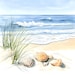 20 Tropical Beach Shells Clipart, Beach Clipart, High Quality JPG ...