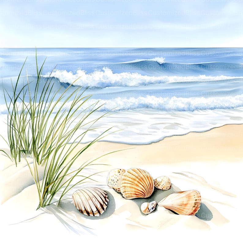 20 Tropical Beach Shells Clipart, Beach Clipart, High Quality JPG ...