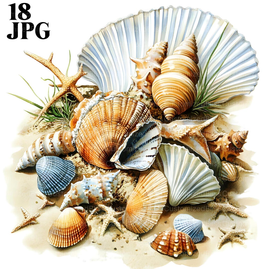 18 Seashells Clipart, Watercolor Seashells, Nautical Clipart, Ocean ...