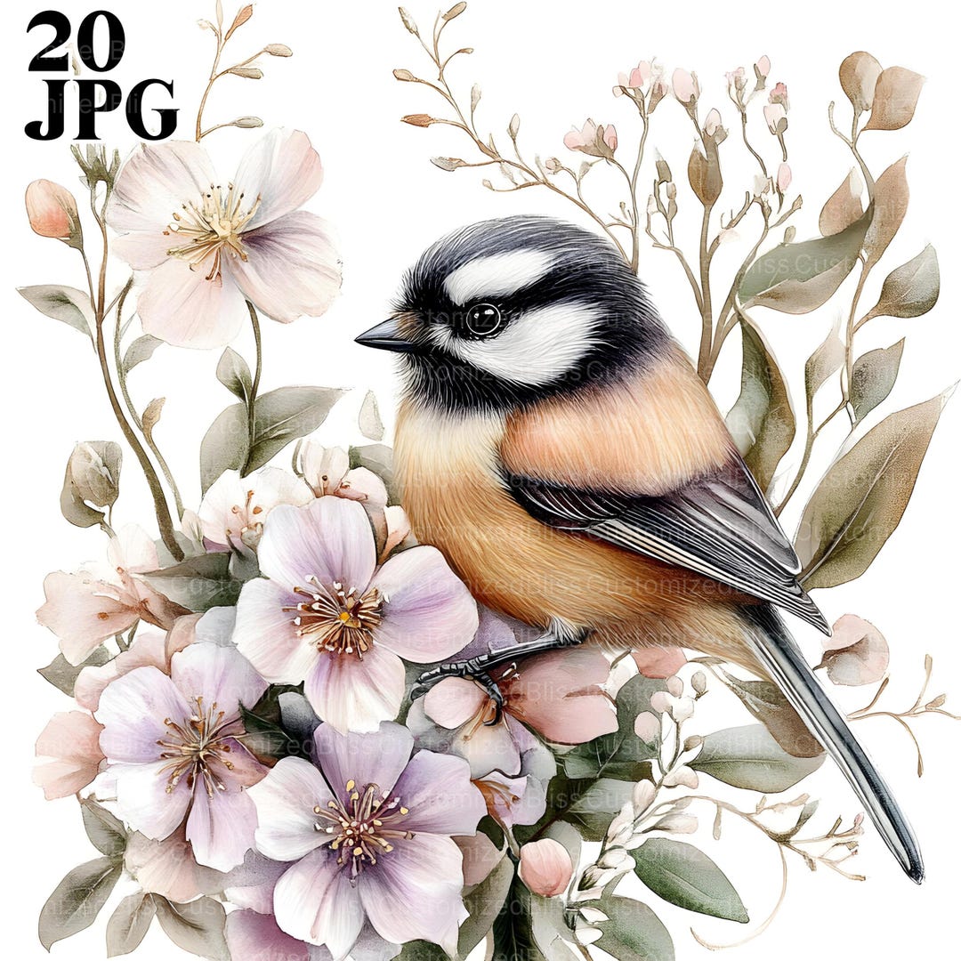 20 Chickadee Clipart, Cute Bird Clipart, Cute Bird Nursery, High ...