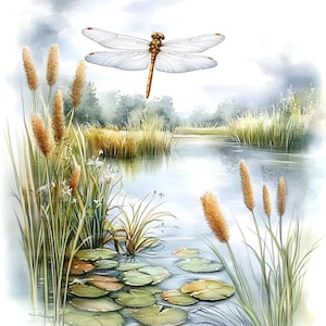 20 Cattails and Dragonflies Clip Art, Dragonfly Clipart, Cattails ...
