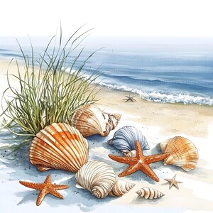 20 Tropical Beach Shells Clipart, Summer Clipart, High Quality JPG ...