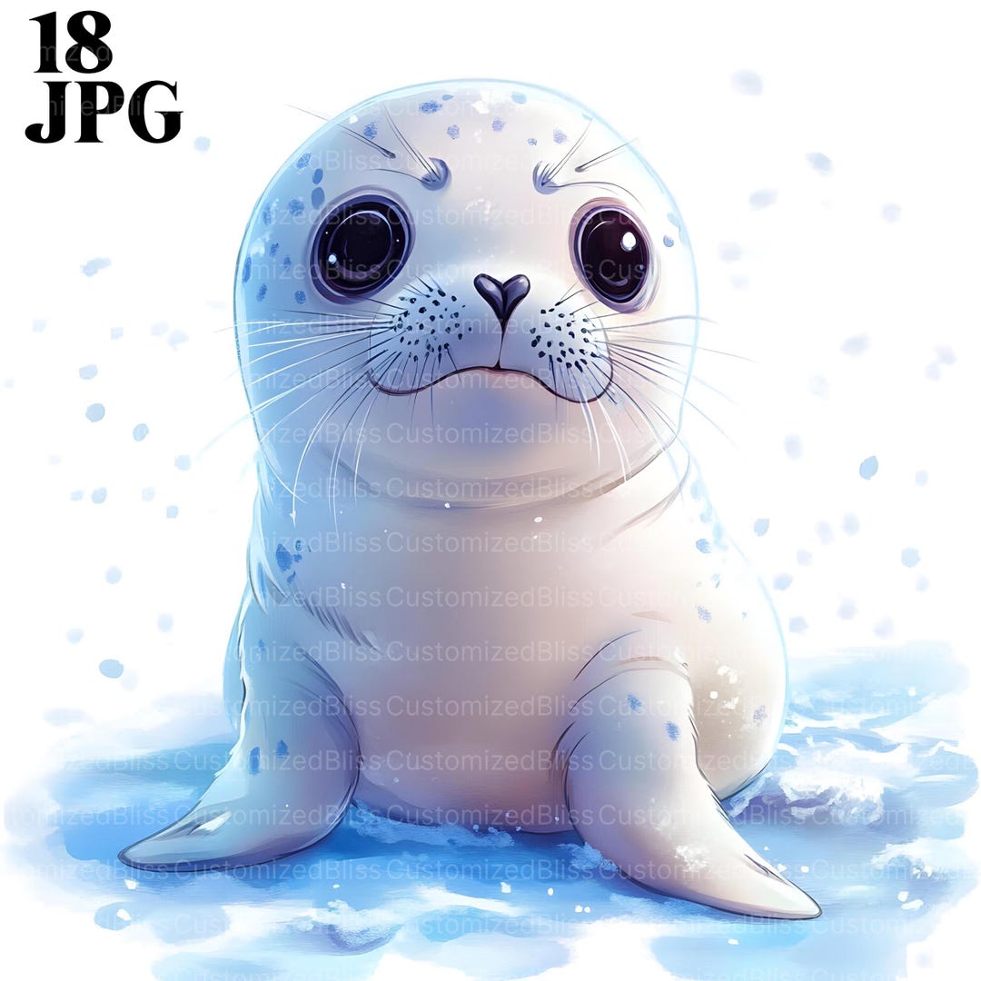 18 Cute Seal Clipart, Cute Sea Animals Clipart, High Quality JPG ...