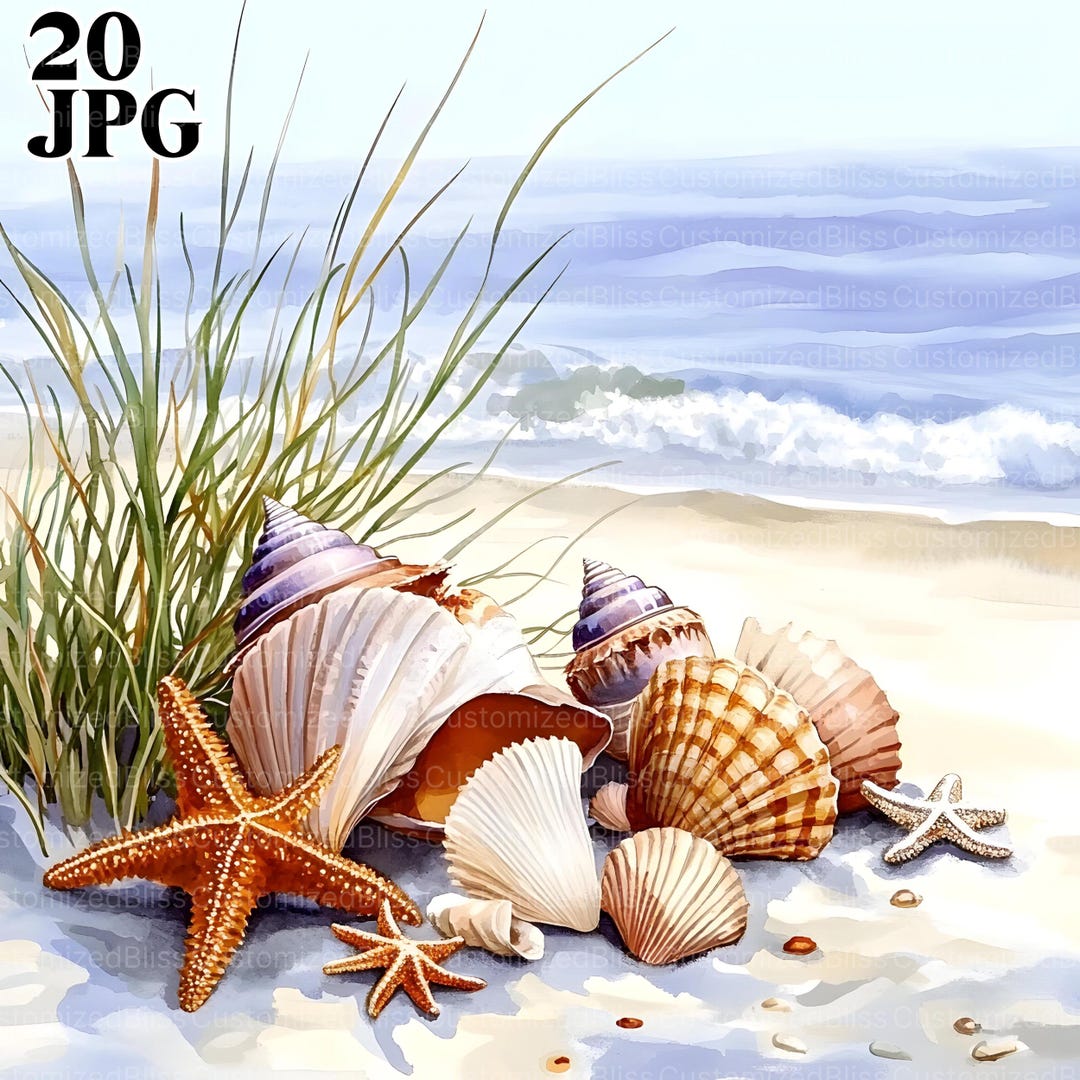 20 Tropical Beach Shells Clipart, Summer Clipart, High Quality JPG ...