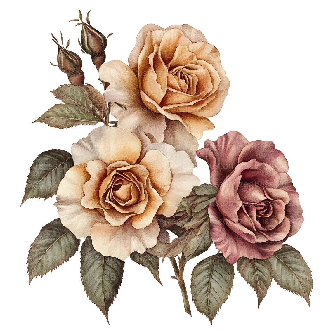 20 Roses Clipart, Rose Flower Clipart, Botanical Clipart, High Quality ...